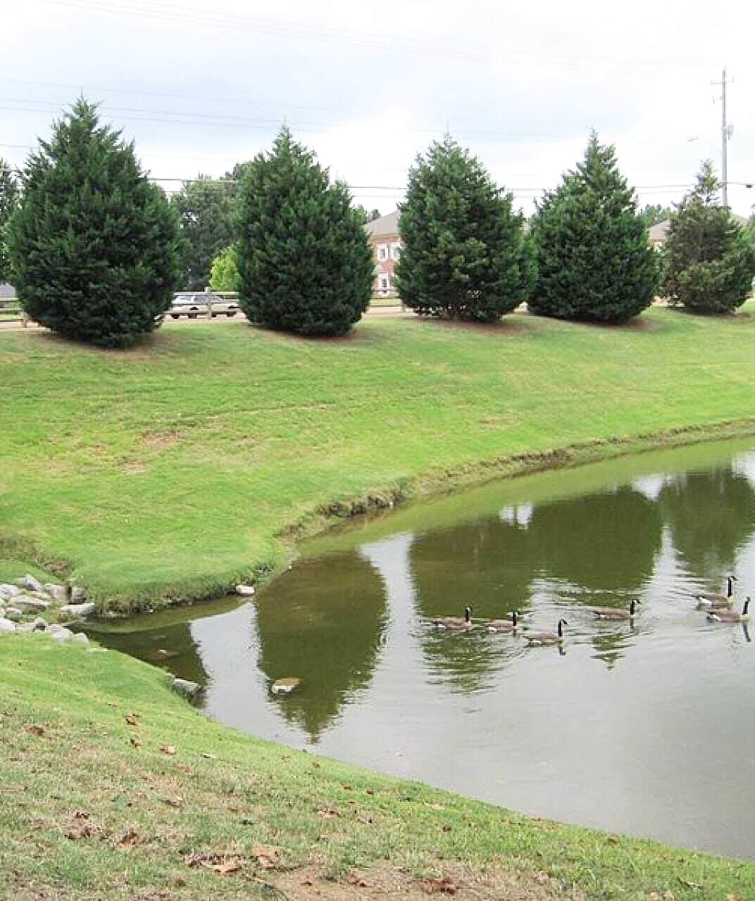 About - DIG Engineers